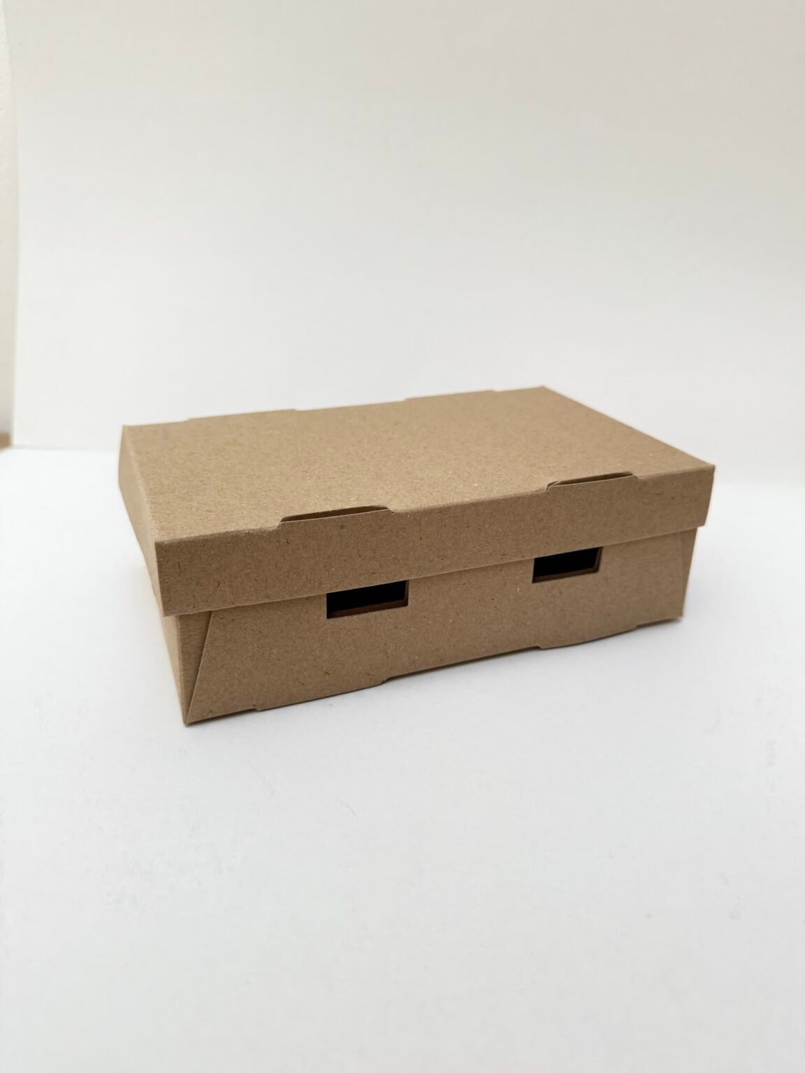 Nueva Caja Kraft Delivery 21x13x6.5 cm - 10 u - Smartpackaging